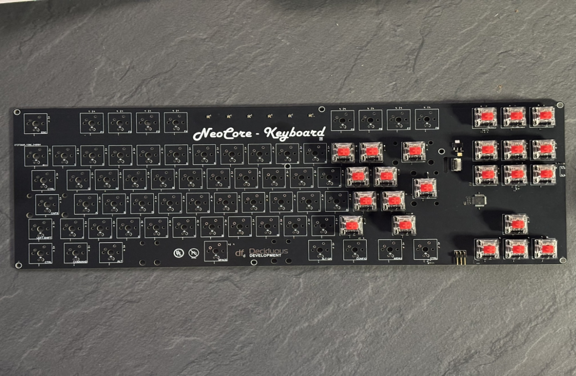 NeoCore Keyboard back from the bakery